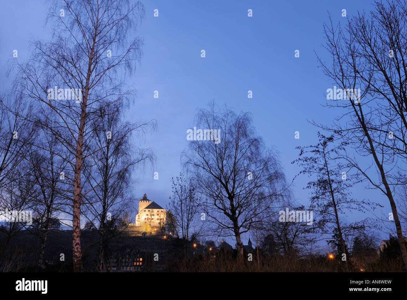 Werdenberg castle hi-res stock photography and images - Alamy