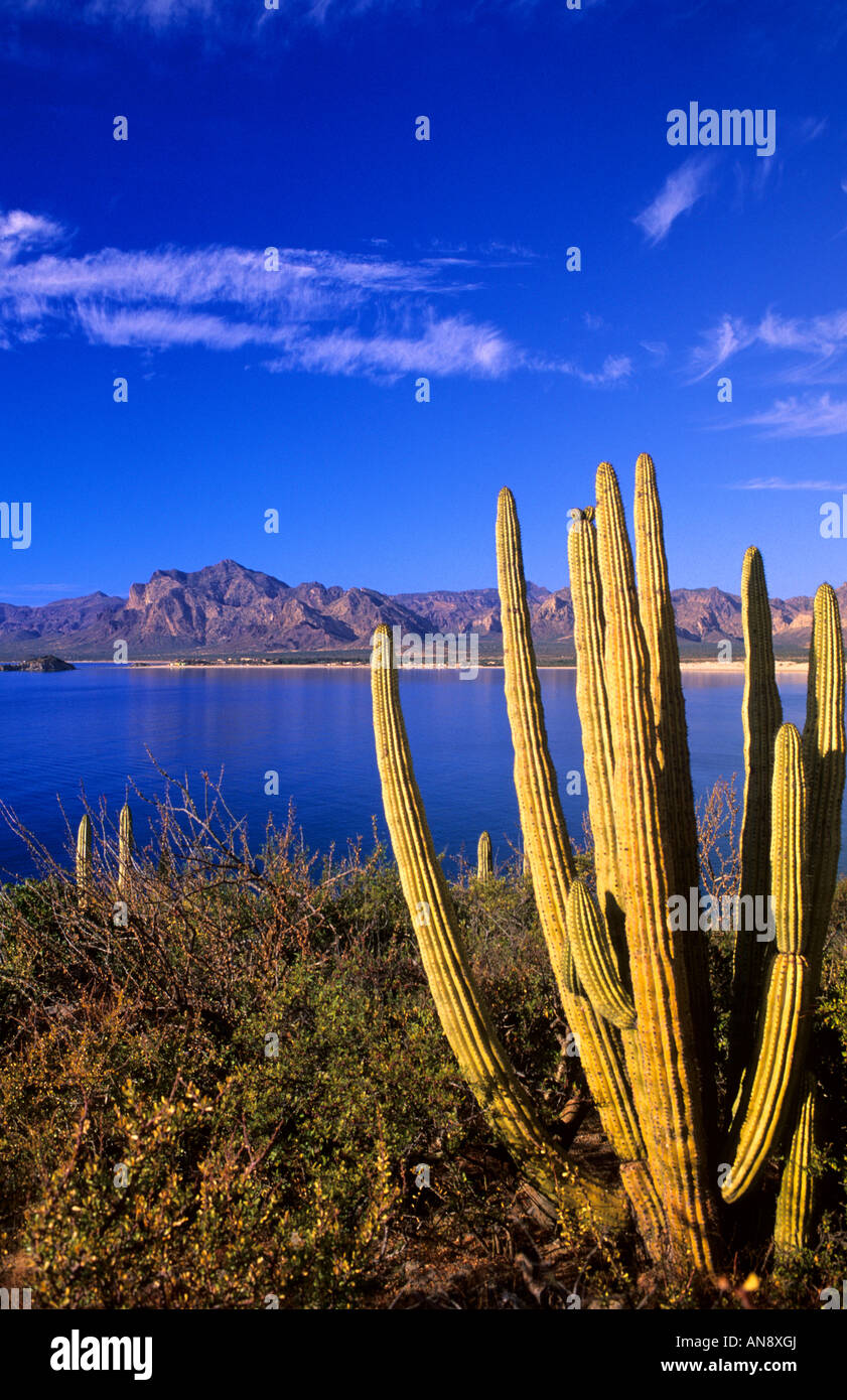 Bahía Algodones, Playa Algodones Bay, San Carlos, Sea of Cortez, Baja ...