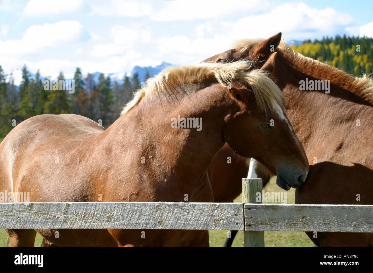 Responsive durable hi-res stock photography and images - Alamy