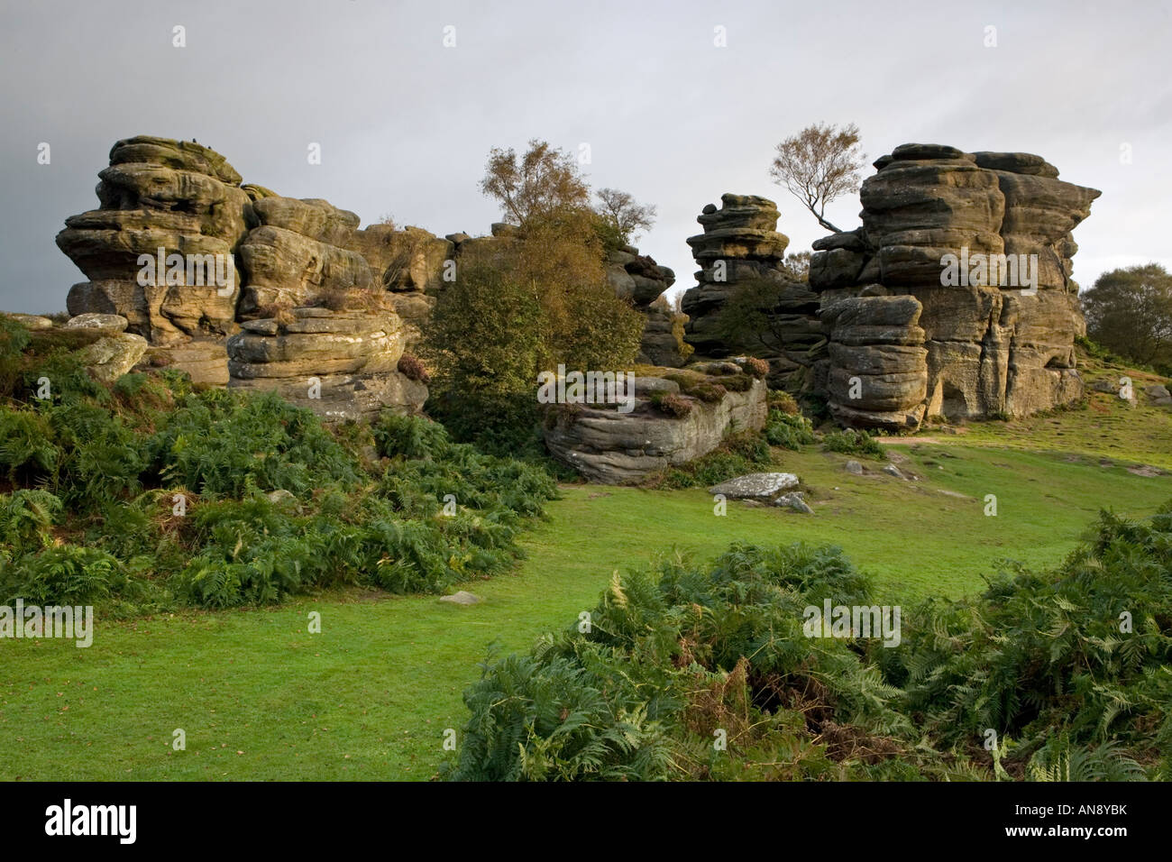 Brimham Rocks in Yorkshire Dales National Park are a major visitor ...