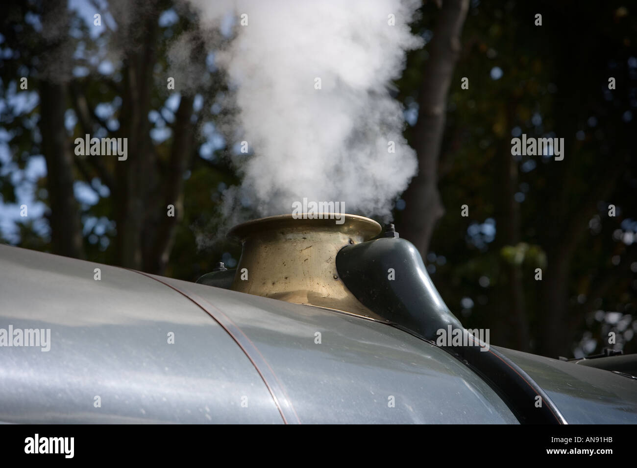 6024 king edward steam locomotive hi-res stock photography and images ...
