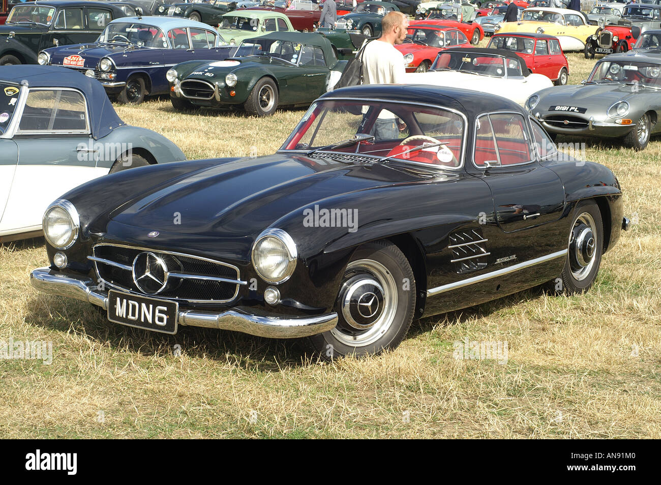 Gull wing Mercedes Stock Photo - Alamy