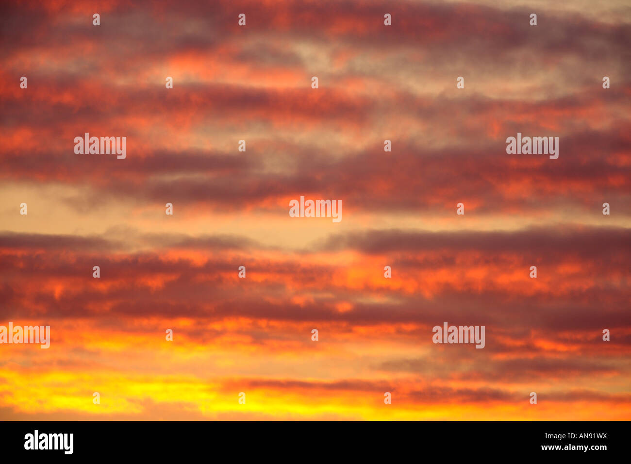 Photo of red sky hi-res stock photography and images - Alamy