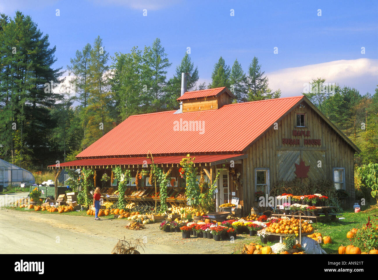 Vt route 100 hi-res stock photography and images - Alamy