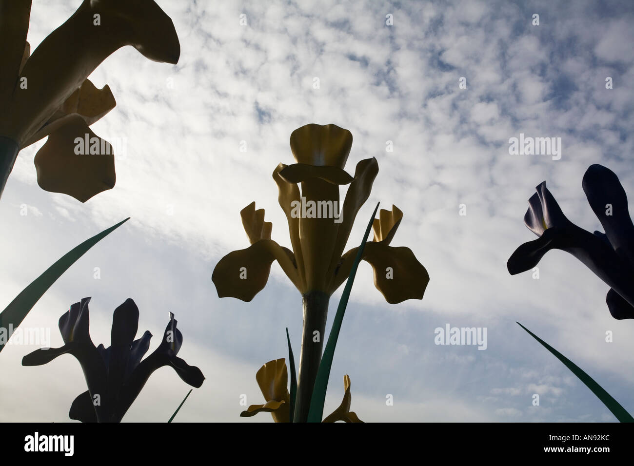 Iris flower sculptures hi-res stock photography and images - Alamy