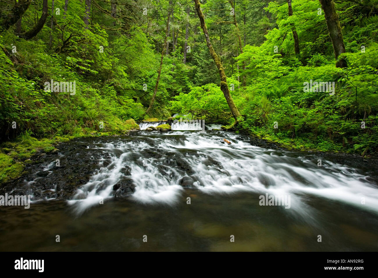Spirit gorge hi-res stock photography and images - Alamy