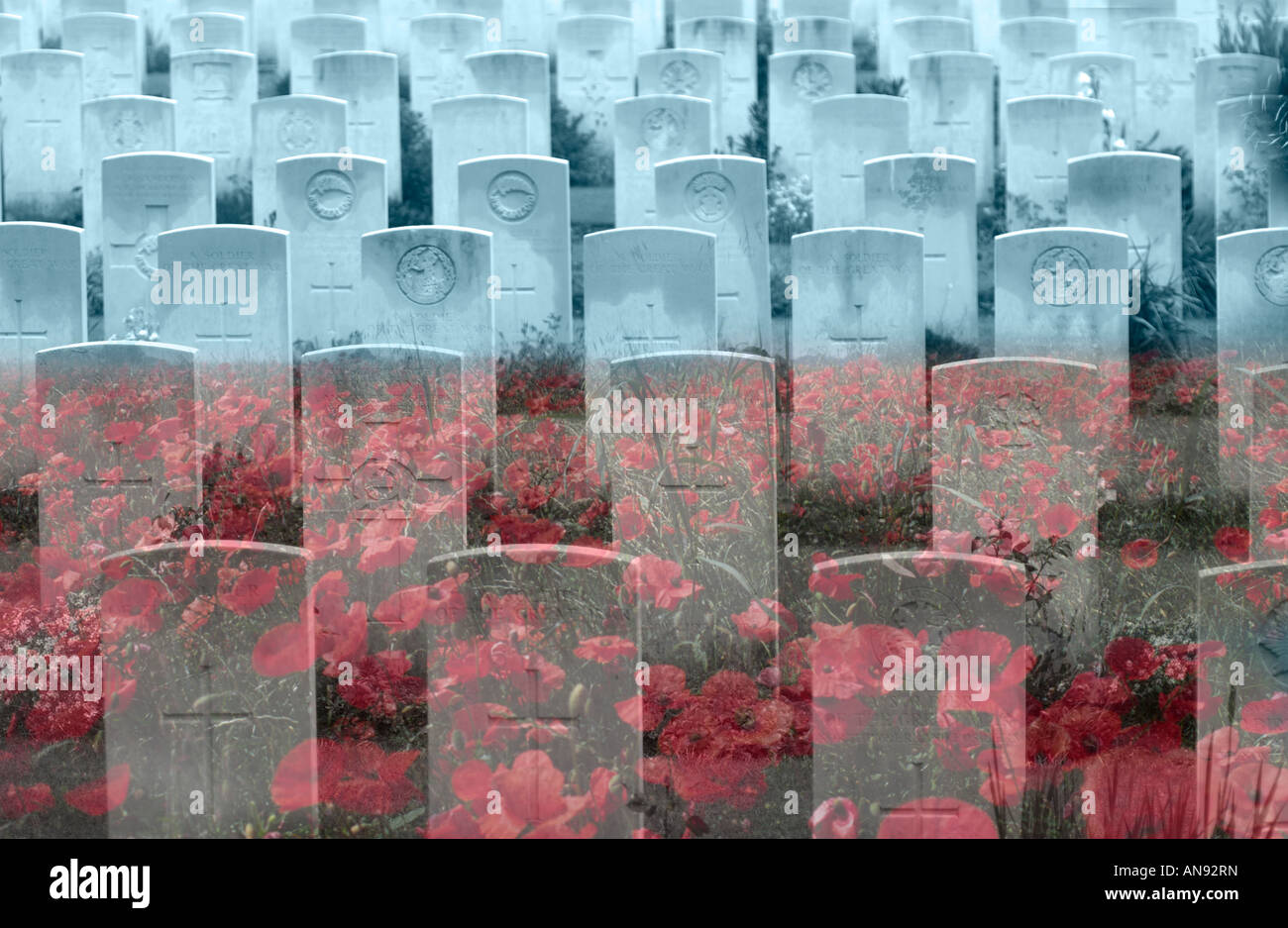First World War Image Of Poppy Fields High Resolution Stock Photography ...