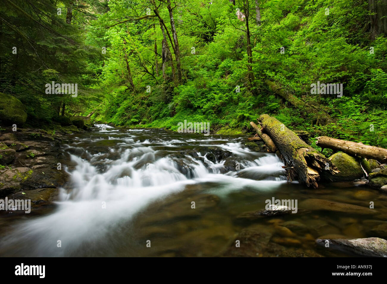 Spirit gorge hi-res stock photography and images - Alamy