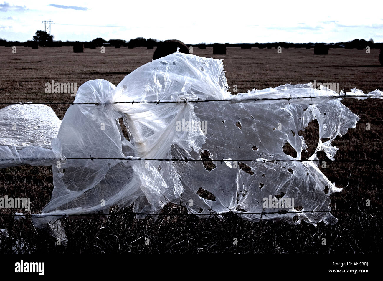 Plastic environmental litter trash caught in a barbed wire fence Stock ...
