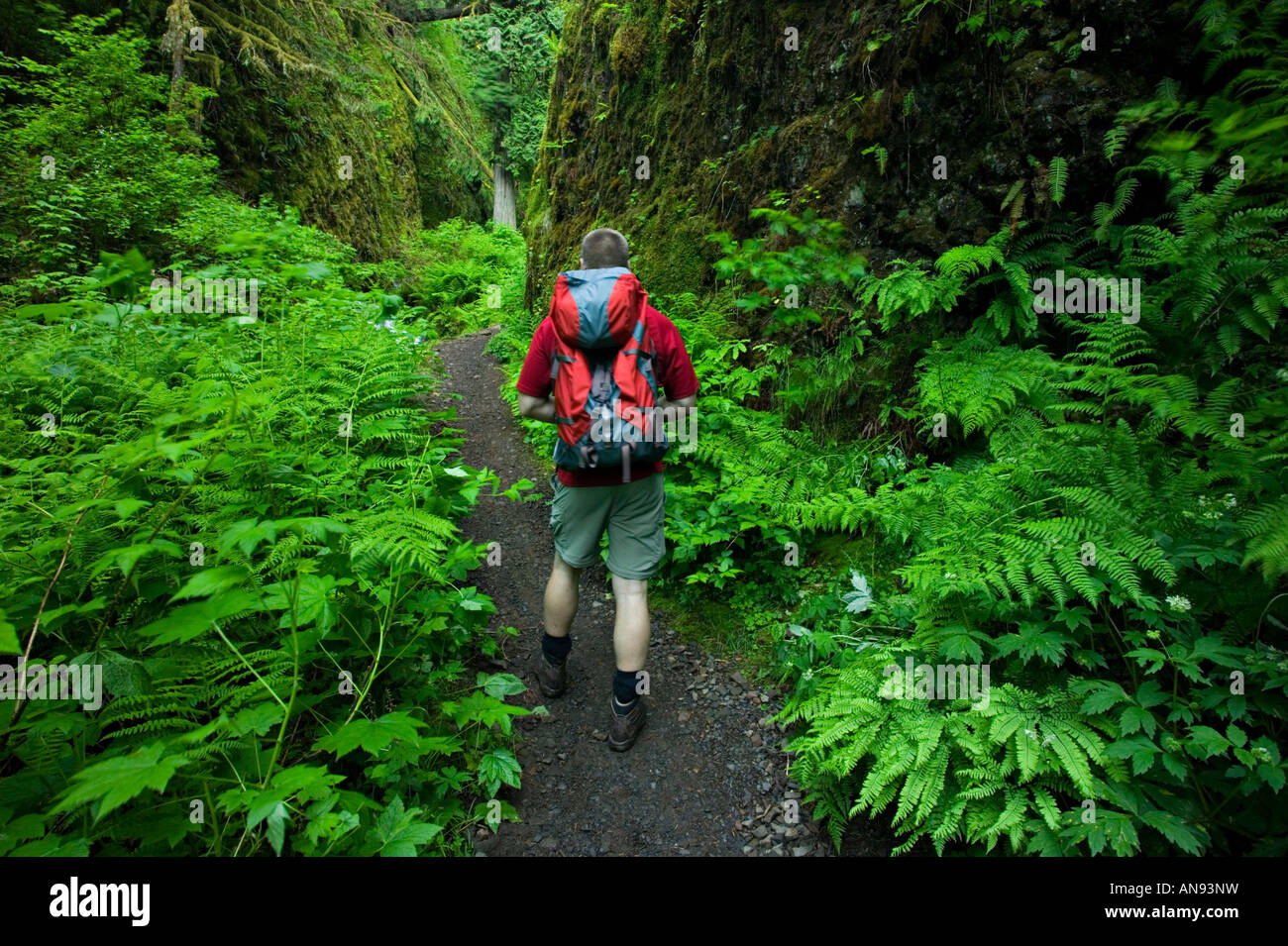 Hiker on trail Stock Photo - Alamy