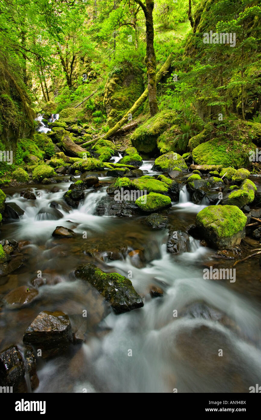 Spirit gorge hi-res stock photography and images - Alamy
