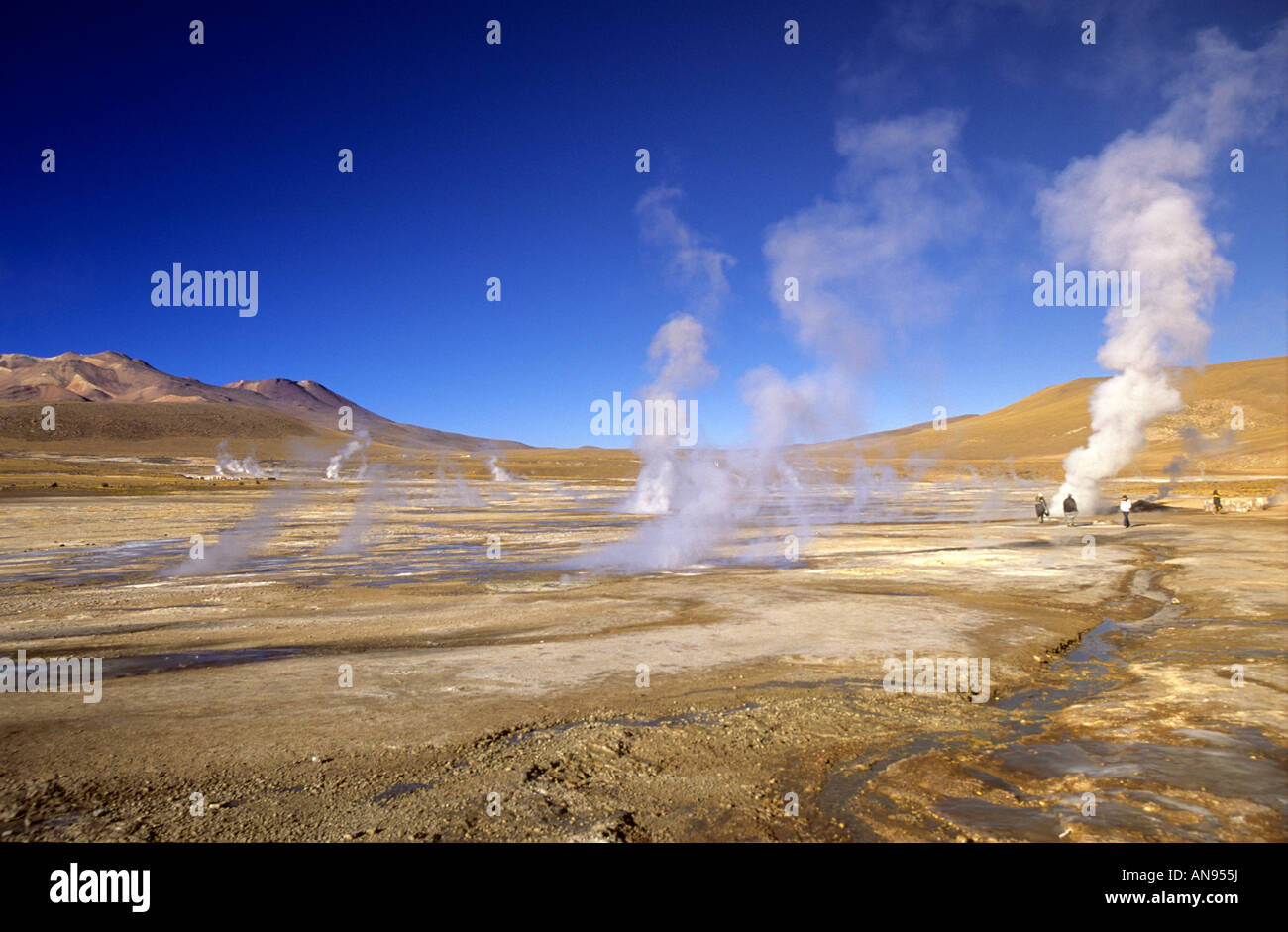 Atacama el tatio hi-res stock photography and images - Alamy