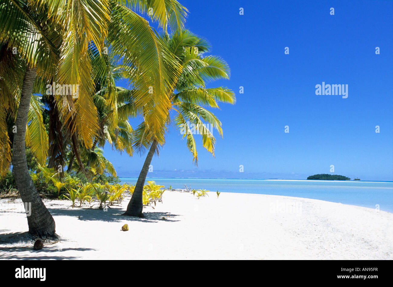 A picture postcard beach in remote Aitutaki atoll Cook Islands palm ...