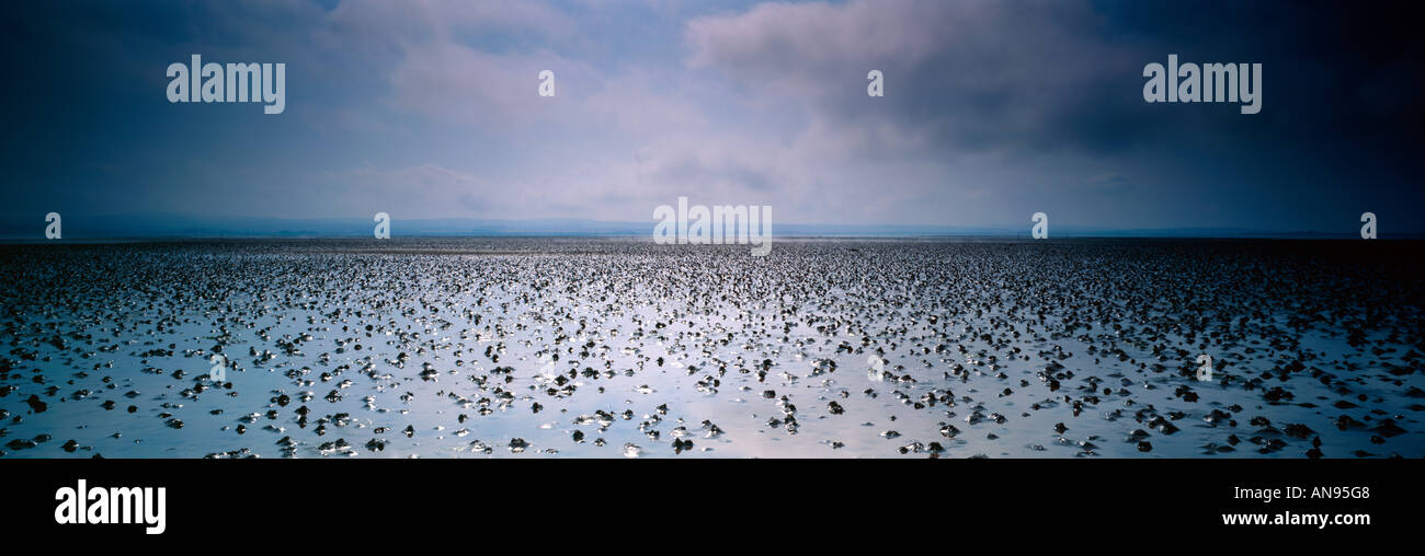 Holy island mud flats hi-res stock photography and images - Alamy