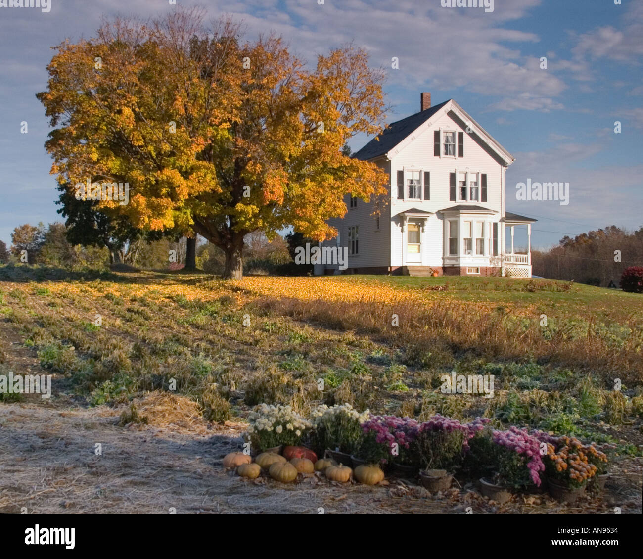 Autumn Harvest on a country farm Stock Photo - Alamy