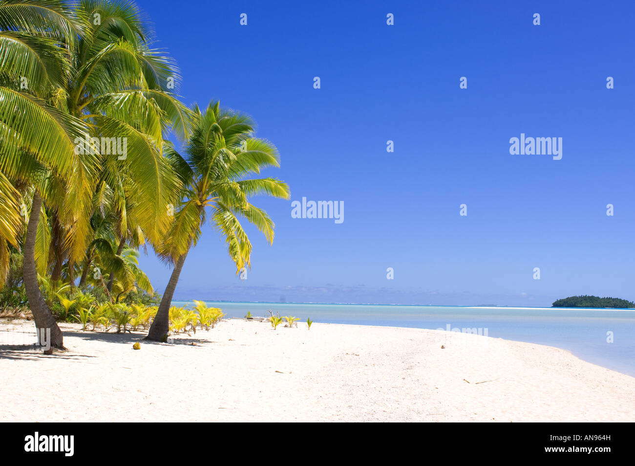 A picture postcard beach in remote Aitutaki atoll Cook Islands palm ...