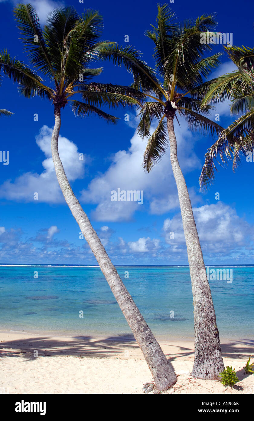 Palm tree lined picture postcard beach in Rarotonga atoll Cook Islands ...