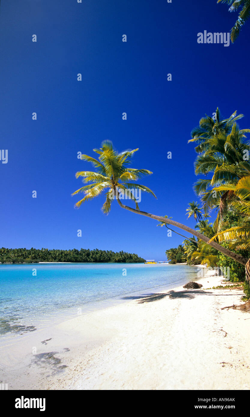 A picture postcard beach in remote Aitutaki atoll Cook Islands palm ...