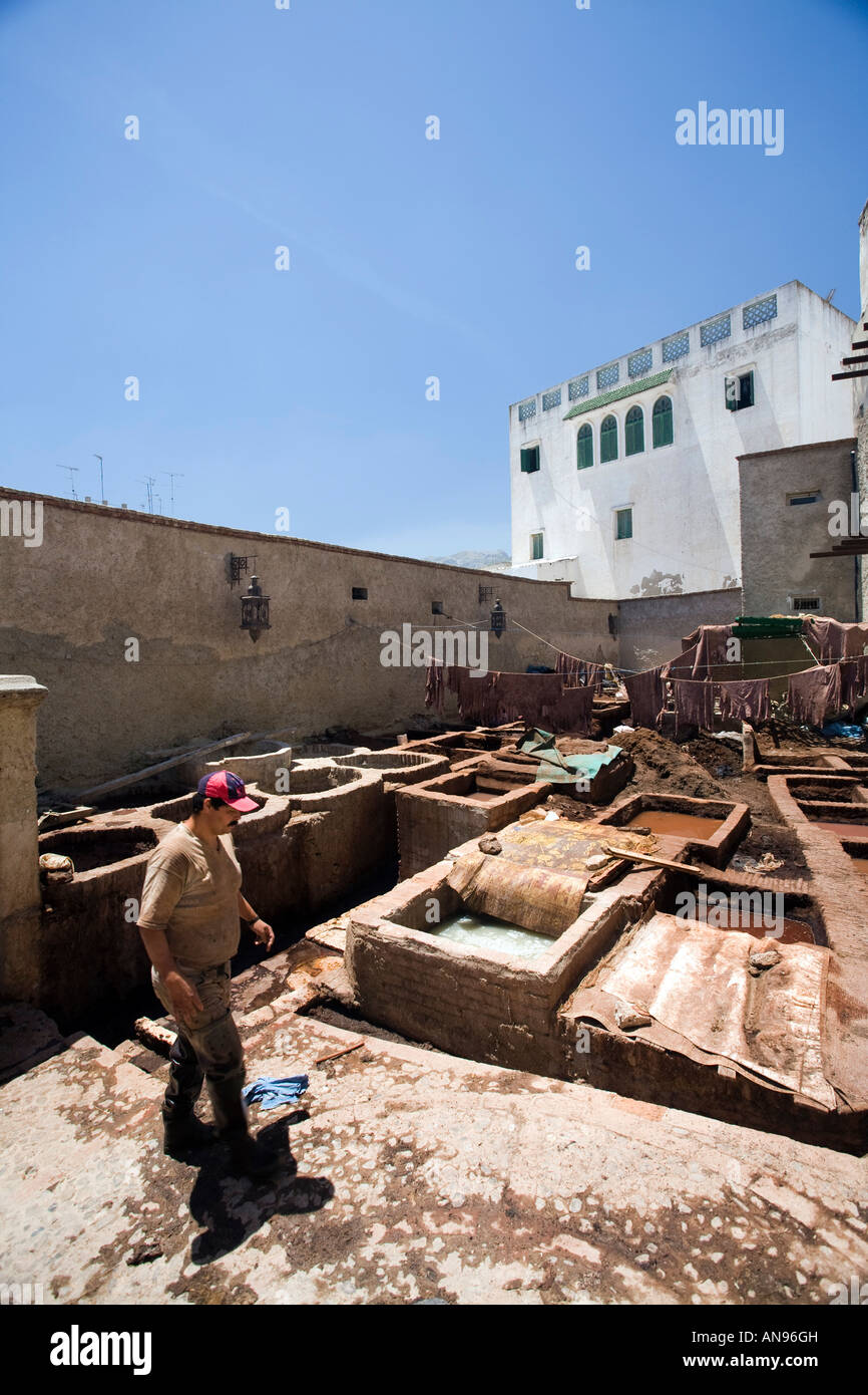 Tannery tetouan morocco hi-res stock photography and images - Alamy