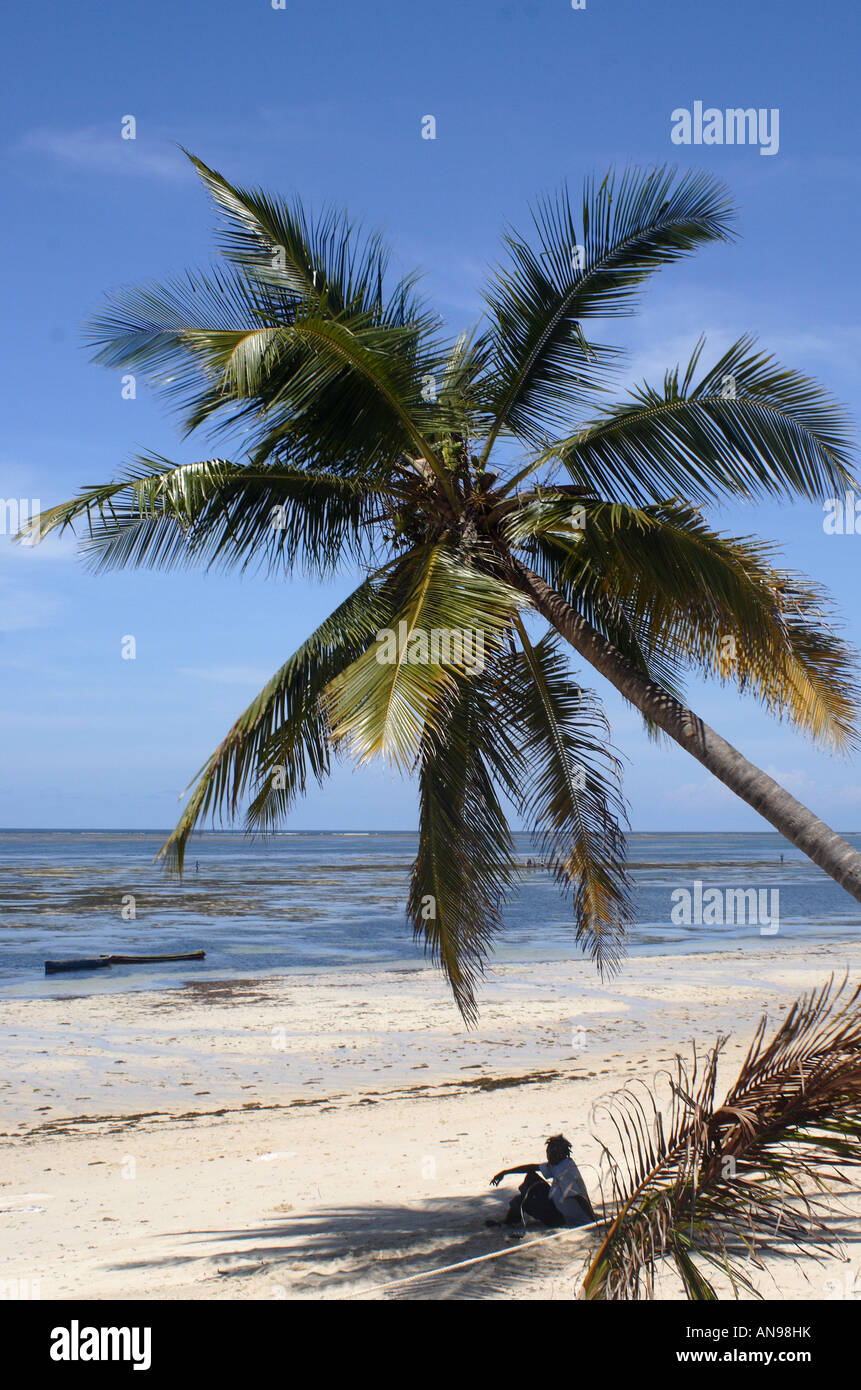 Even the locals shelter from the sun on the beach in Shanzu, Mombasa ...