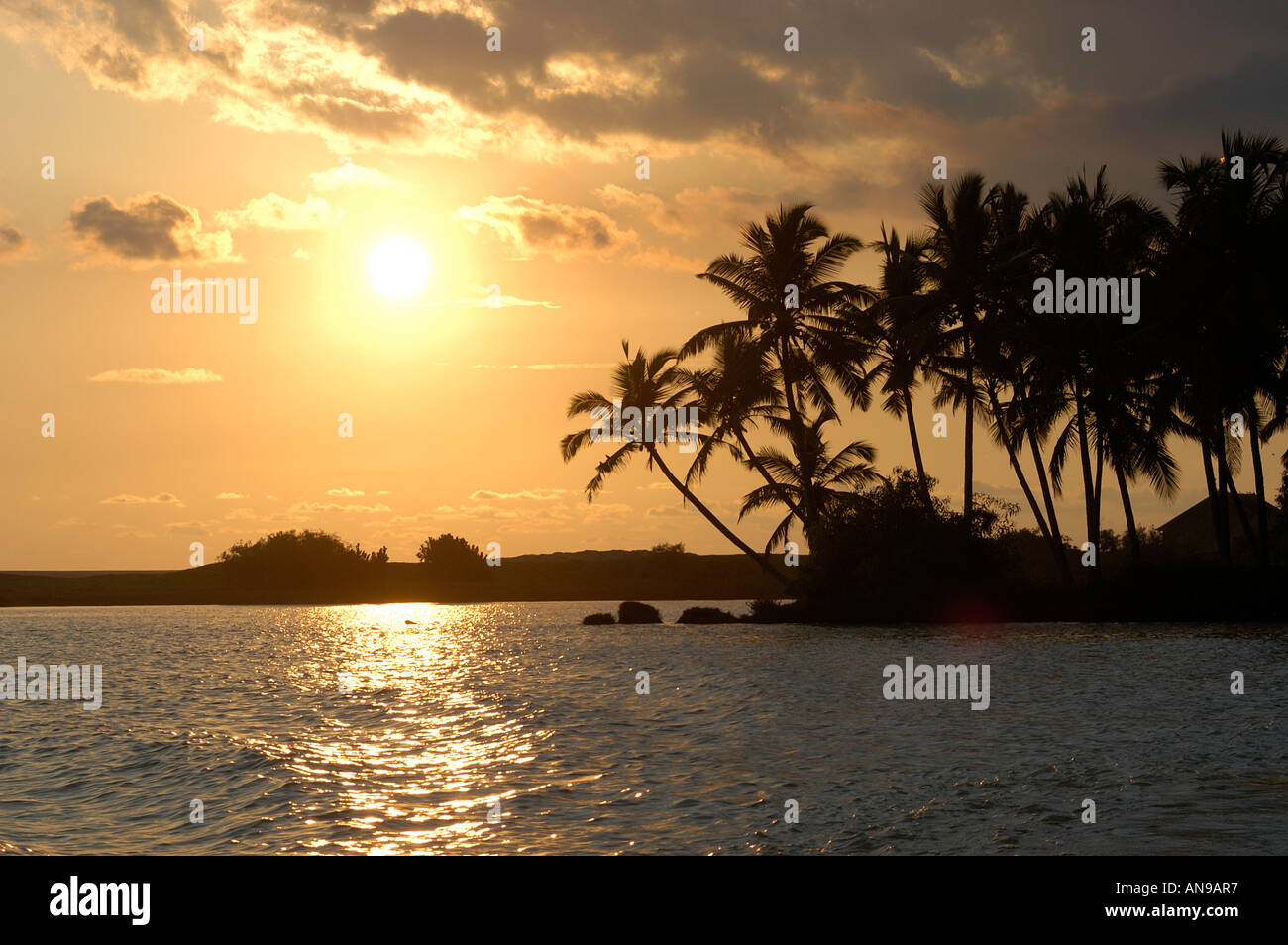 BACKWATERS OF POOVAR, SOUTHERN KERALA, TRIVANDRUM DIST Stock Photo - Alamy