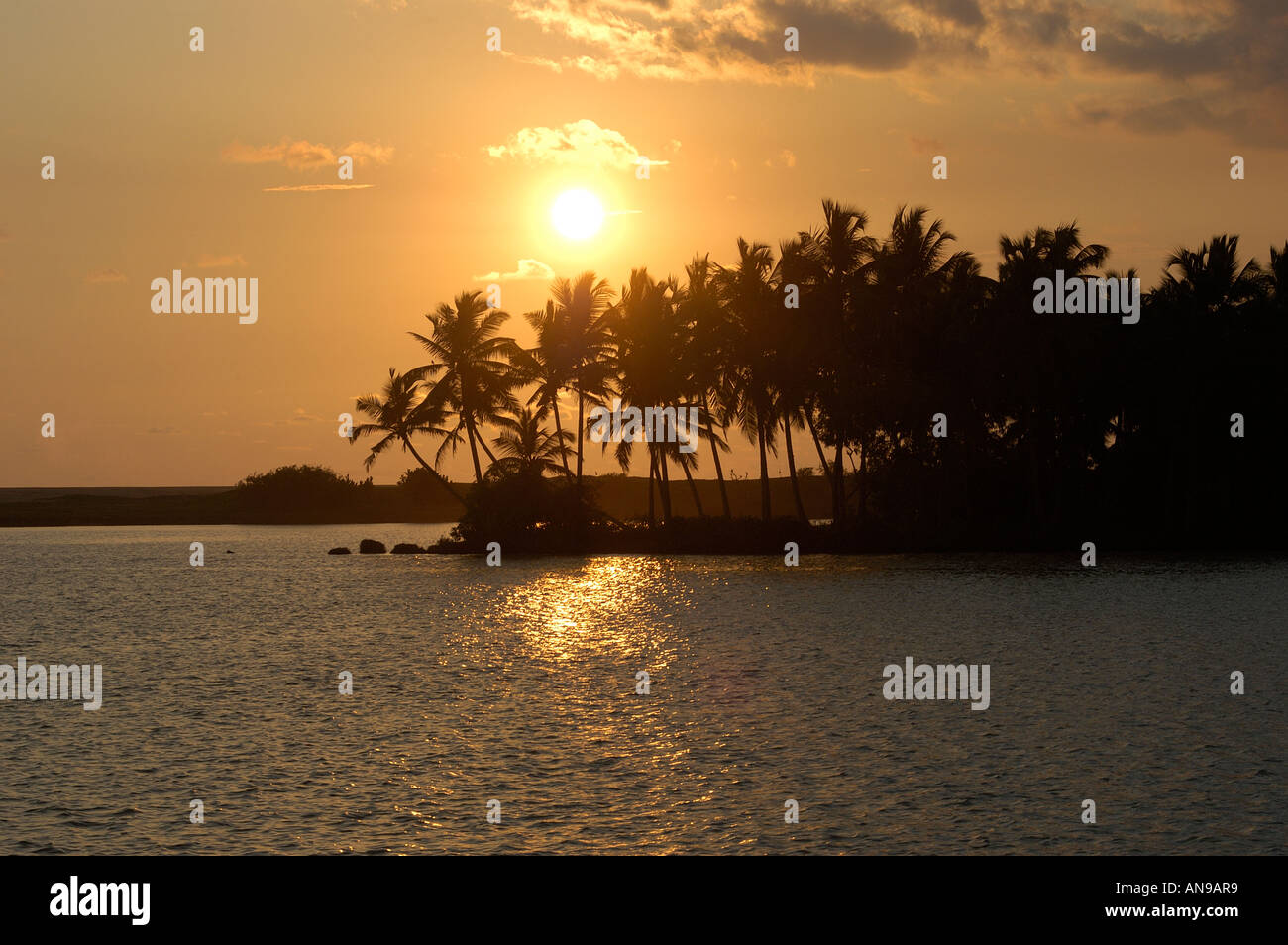 Kerala backwaters silence hi-res stock photography and images - Alamy