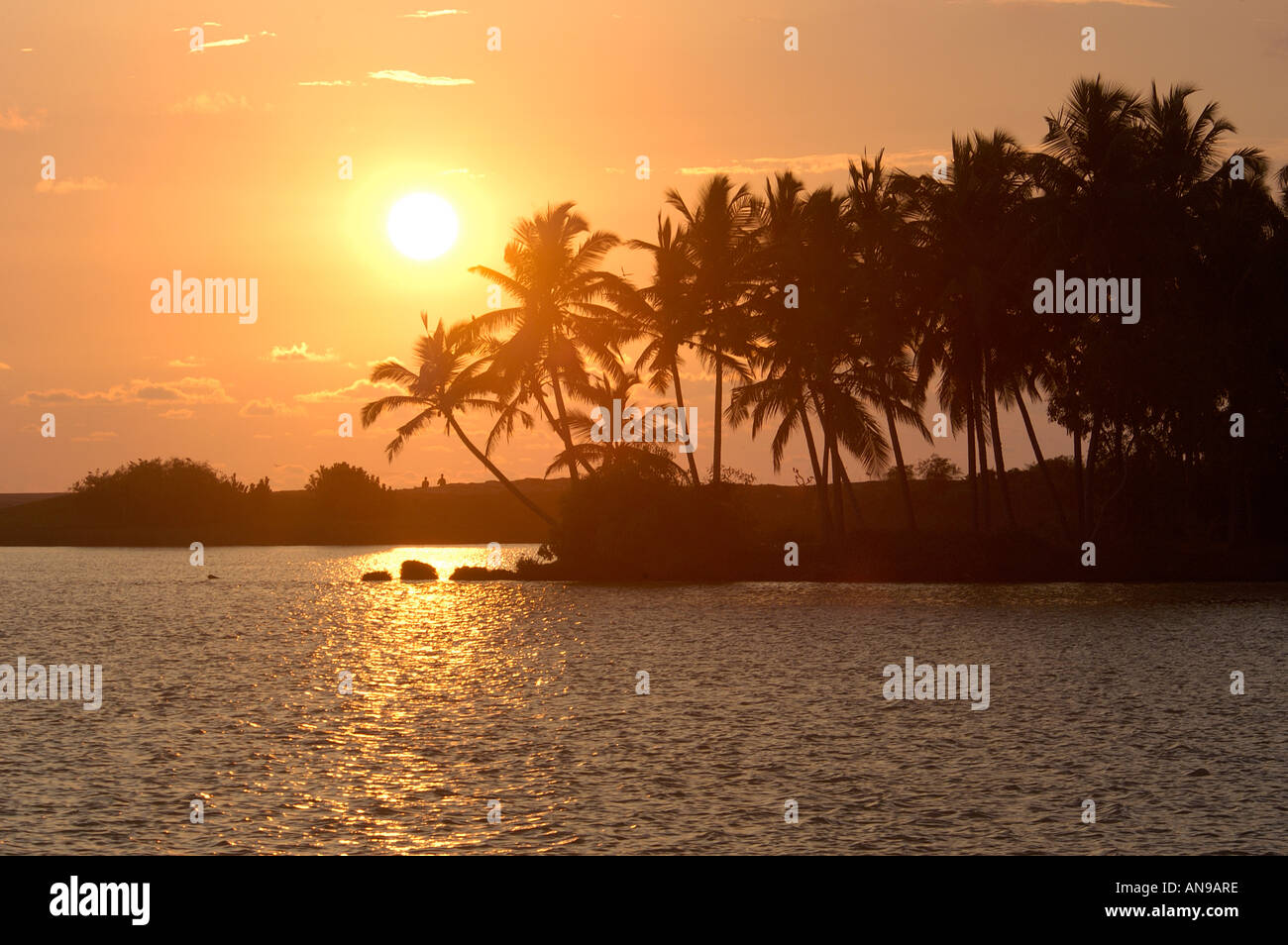BACKWATERS OF POOVAR, SOUTHERN KERALA, TRIVANDRUM DIST Stock Photo - Alamy