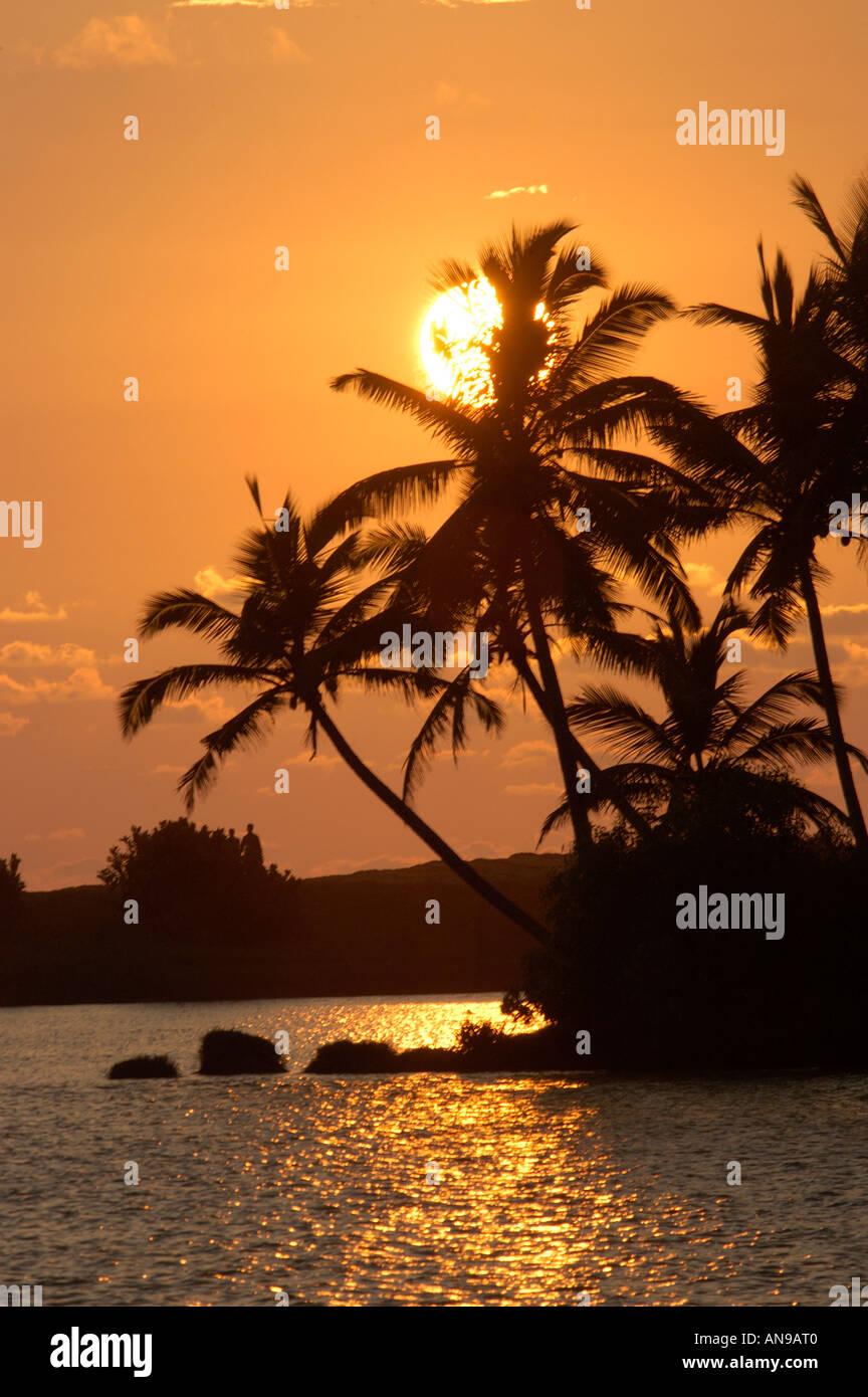 BACKWATERS OF POOVAR, SOUTHERN KERALA, TRIVANDRUM DIST Stock Photo - Alamy
