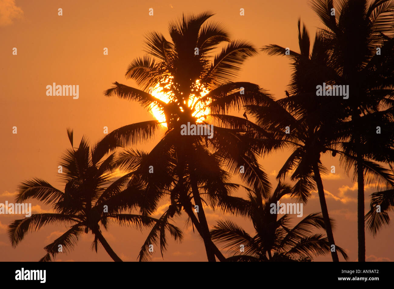 BACKWATERS OF POOVAR, SOUTHERN KERALA, TRIVANDRUM DIST Stock Photo - Alamy