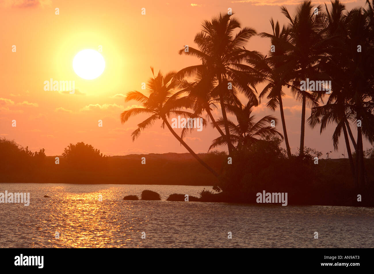 BACKWATERS OF POOVAR, SOUTHERN KERALA, TRIVANDRUM DIST Stock Photo - Alamy