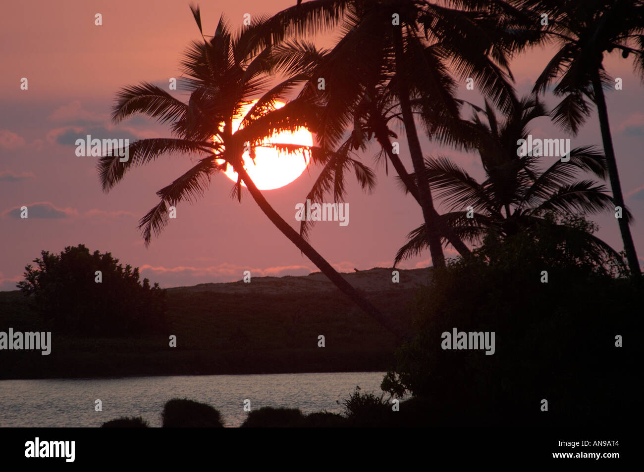 BACKWATERS OF POOVAR, SOUTHERN KERALA, TRIVANDRUM DIST Stock Photo - Alamy