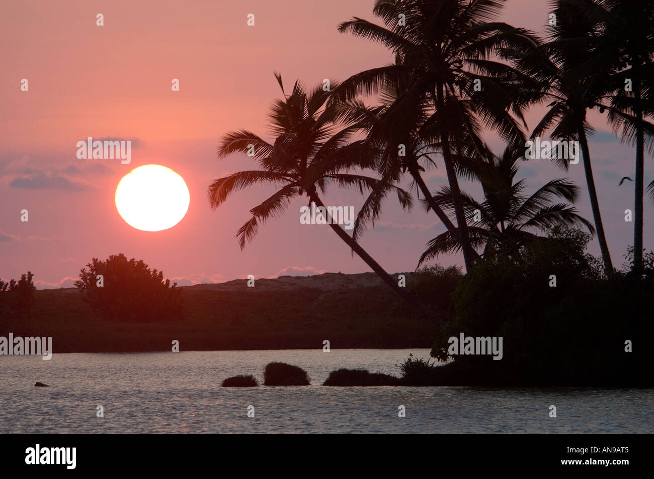 BACKWATERS OF POOVAR, SOUTHERN KERALA, TRIVANDRUM DIST Stock Photo - Alamy