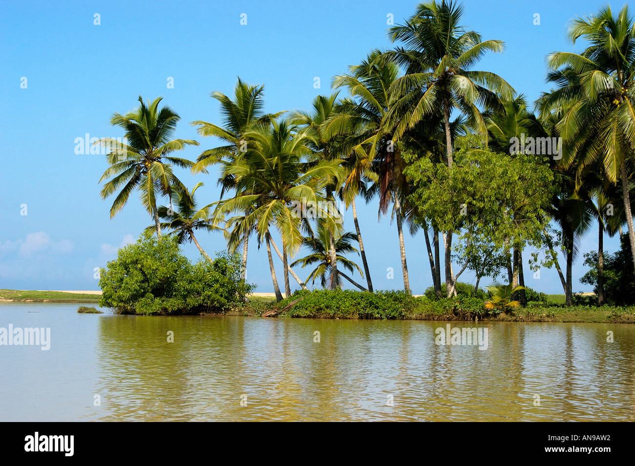 ESTUARY AND BACKWATERS OF POOVAR, SOUTHERN KERALA, TRIVANDRUM DIST ...