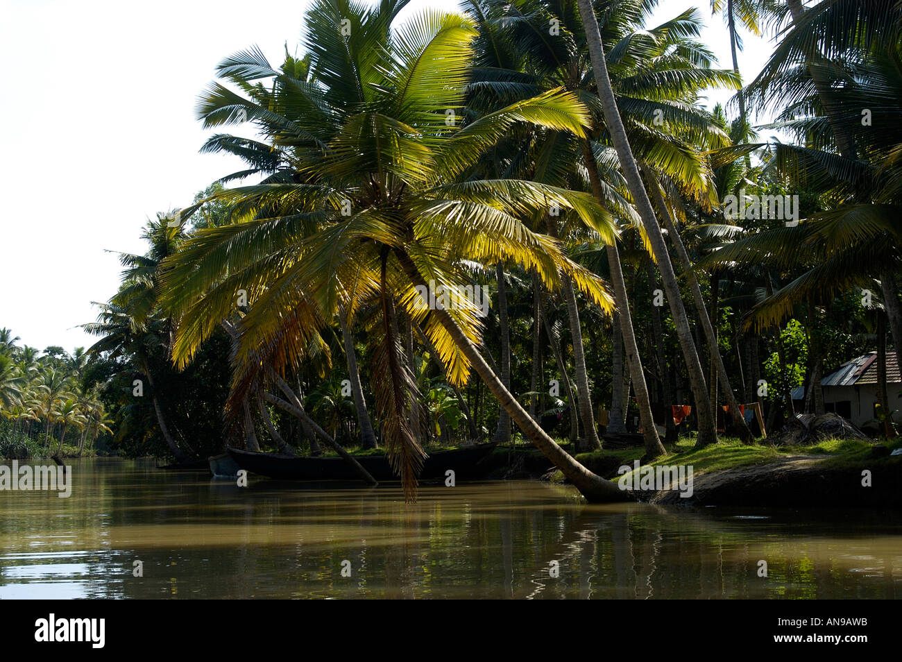 BACKWATERS OF POOVAR, SOUTHERN KERALA, TRIVANDRUM DIST Stock Photo - Alamy