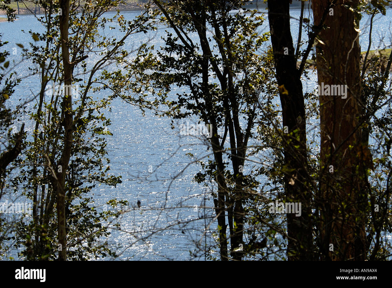 PERIYAR TIGER RESERVE, THEKKADY, IDUKKI DIST Stock Photo - Alamy