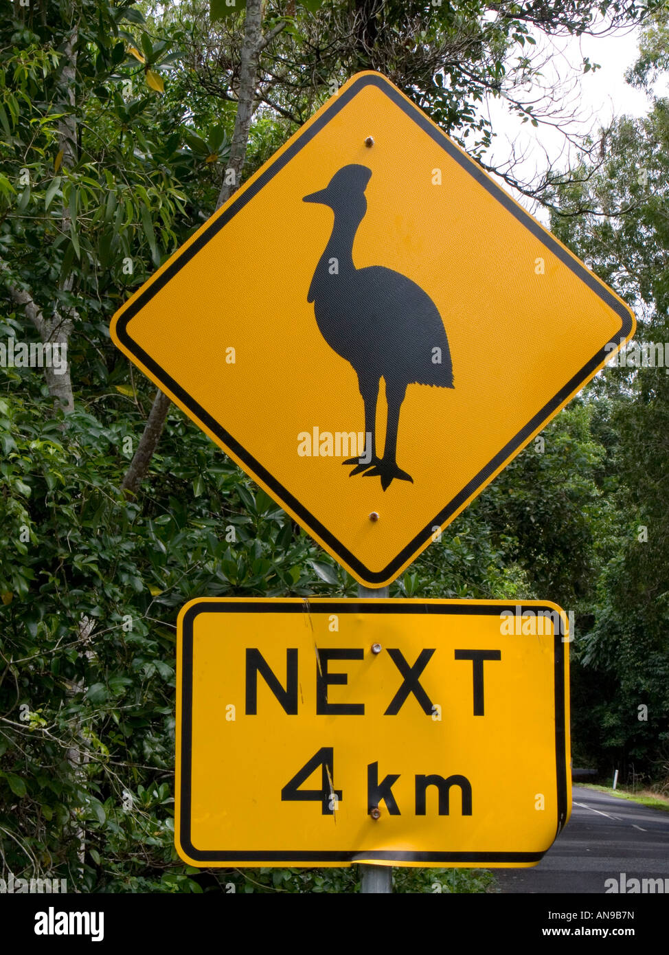 Cassowary danger sign, Queensland, Australia Stock Photo - Alamy