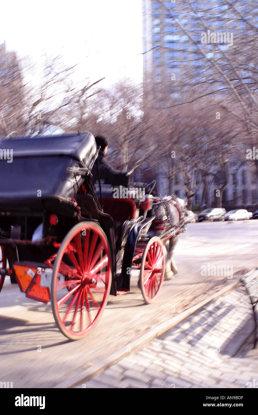 Handsome Carriage Central Park New York Stock Photo - Alamy