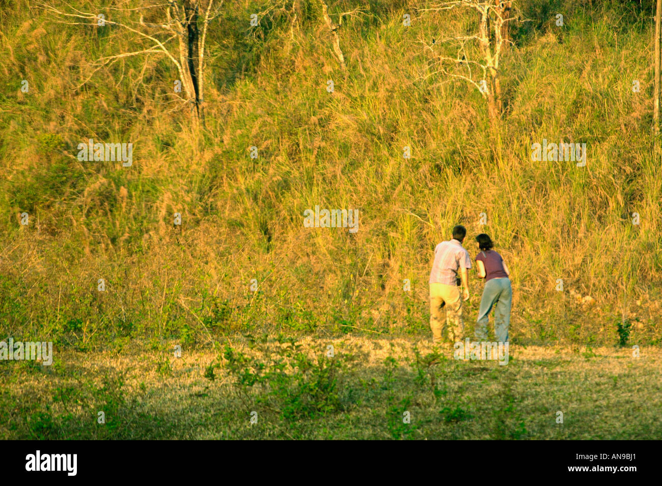 WILDLIFE VIEWING, PERIYAR TIGER RESERVE, THEKKADY, IDUKKI DIST Stock ...