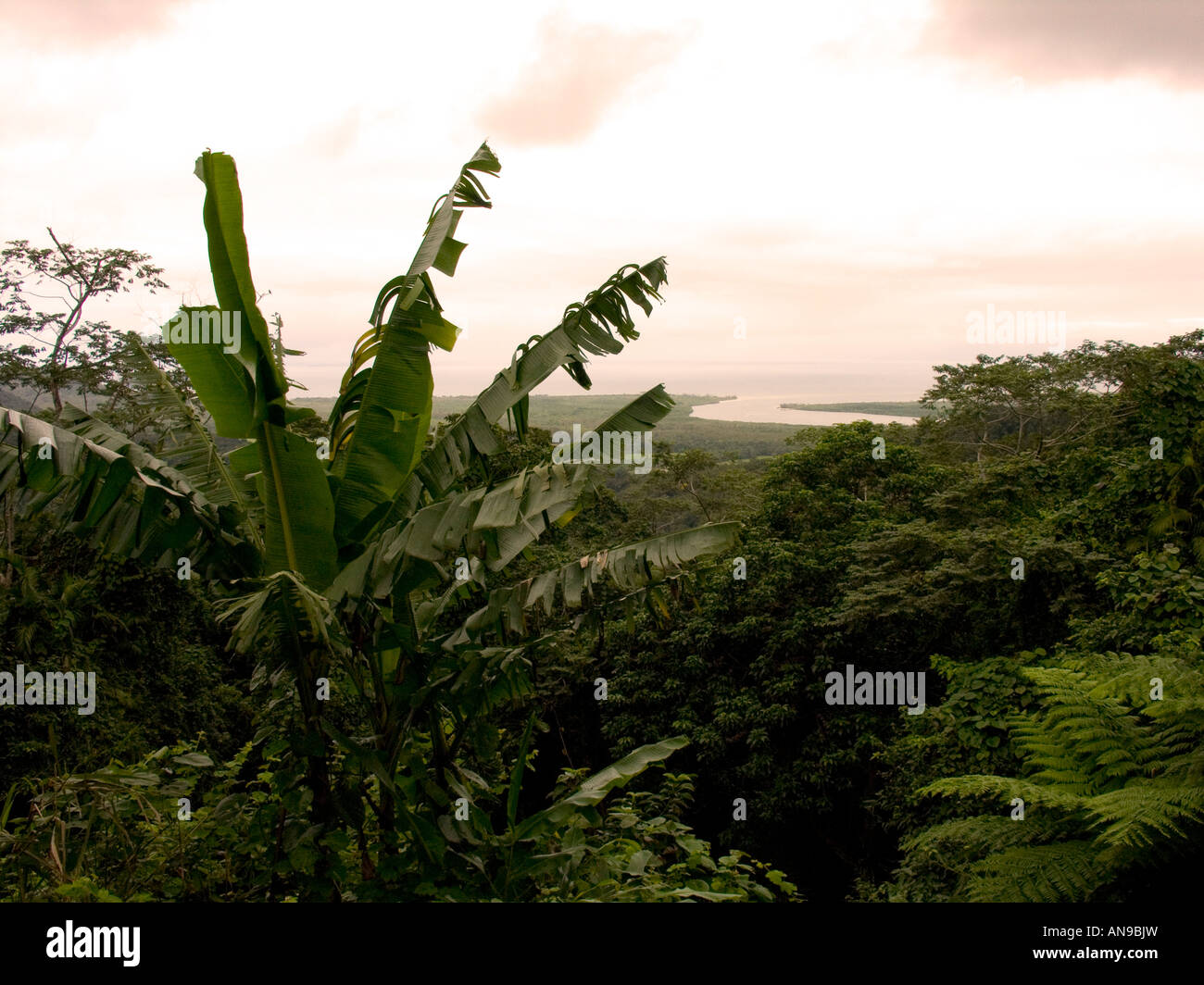 Daintree Rainforest River High Resolution Stock Photography and Images ...