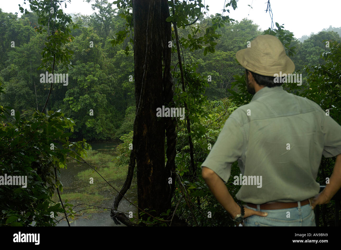Thattekad bird sanctuary hi-res stock photography and images - Alamy