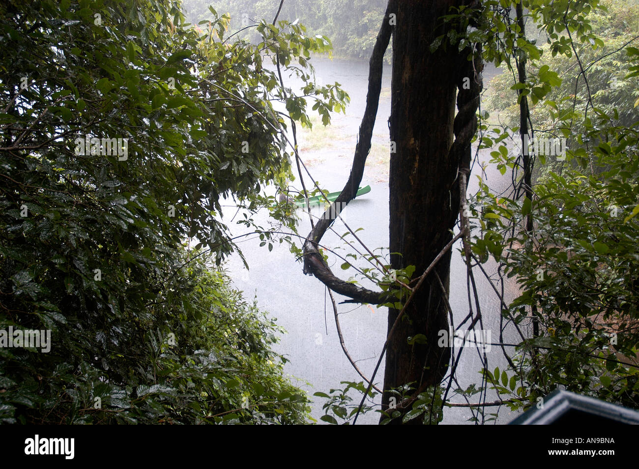 Thattekad bird sanctuary hi-res stock photography and images - Alamy