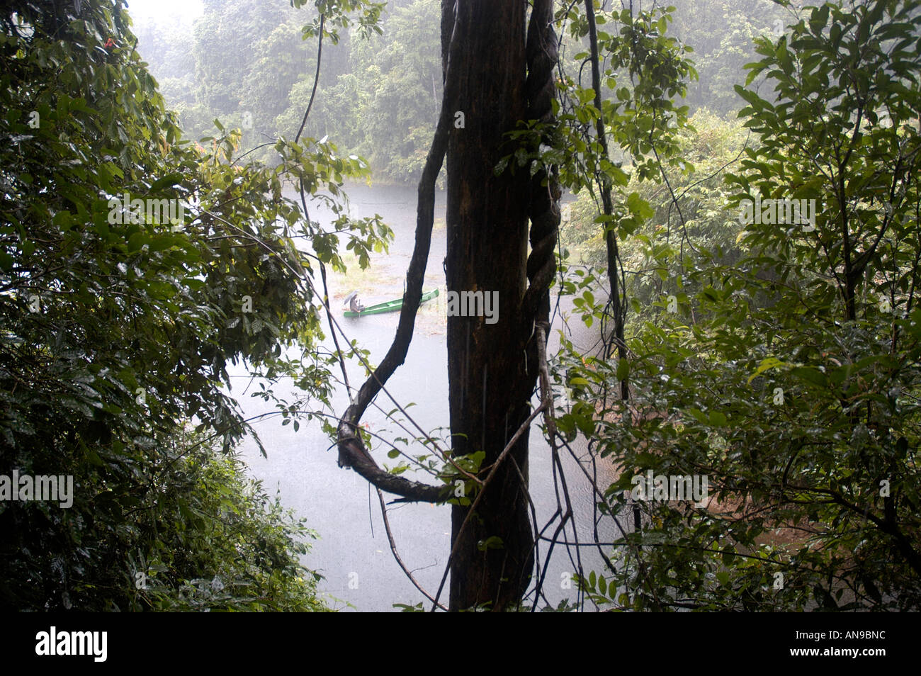 Thattekad bird sanctuary hi-res stock photography and images - Alamy