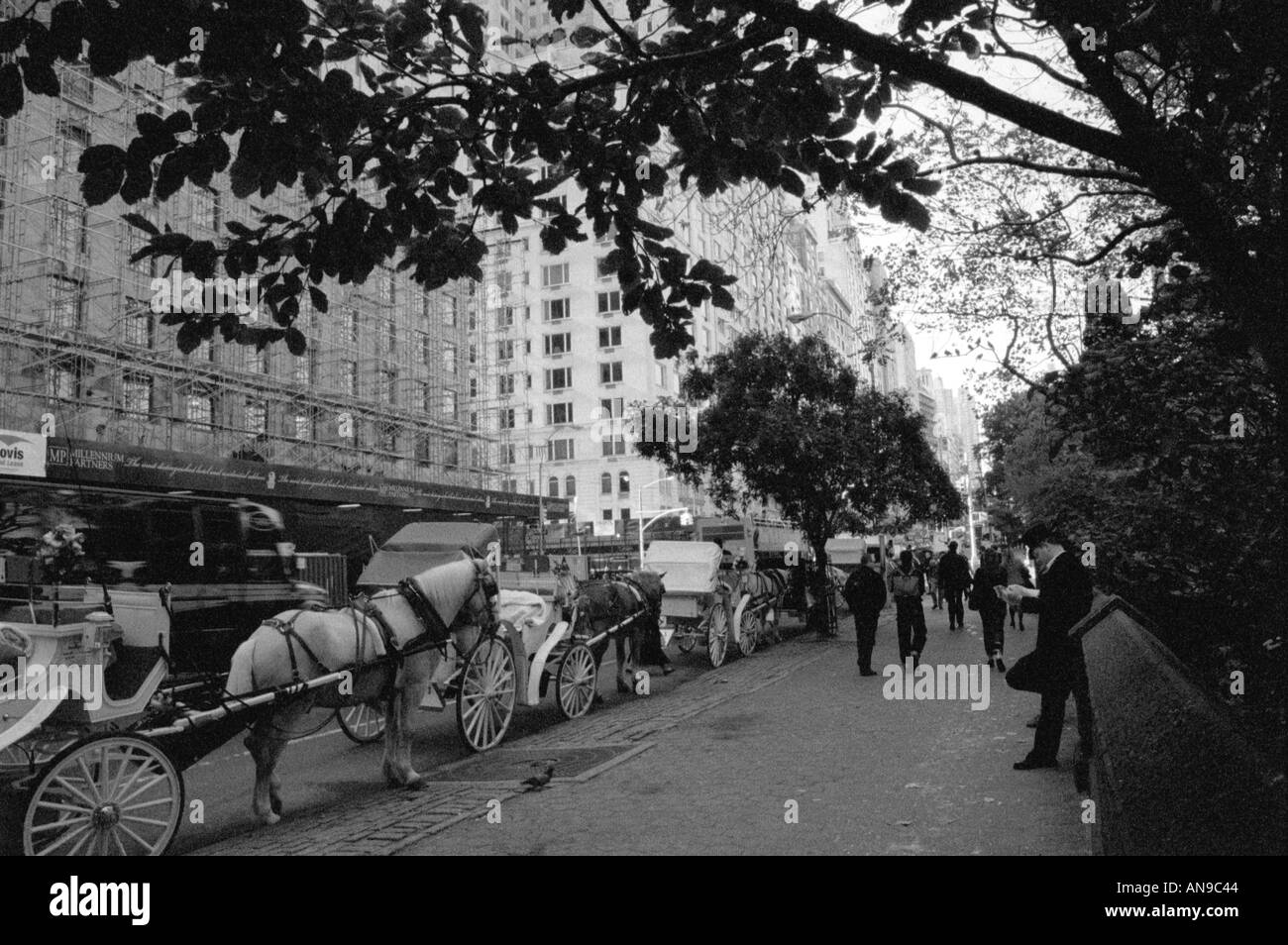 New york central park horse carriage Black and White Stock Photos ...
