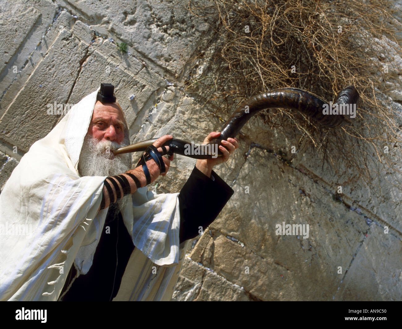 Rabbi at the Wailing Wall in Jerusalem Stock Photo - Alamy