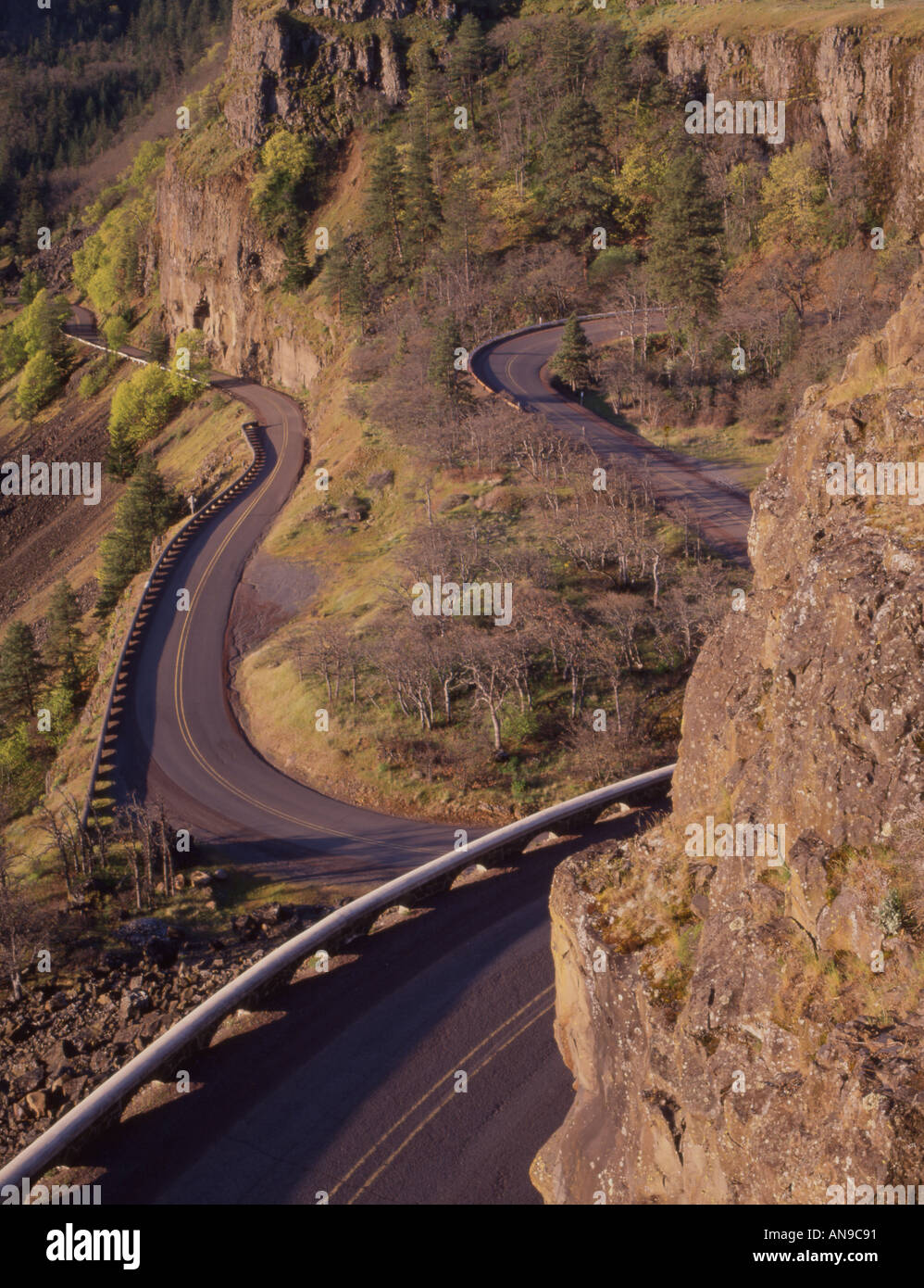 Rowena loops hi-res stock photography and images - Alamy