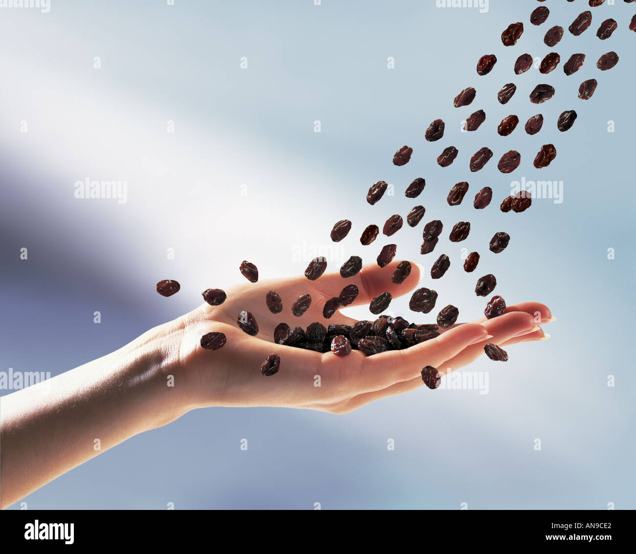 FRUIT Raisins falling into hand Stock Photo - Alamy