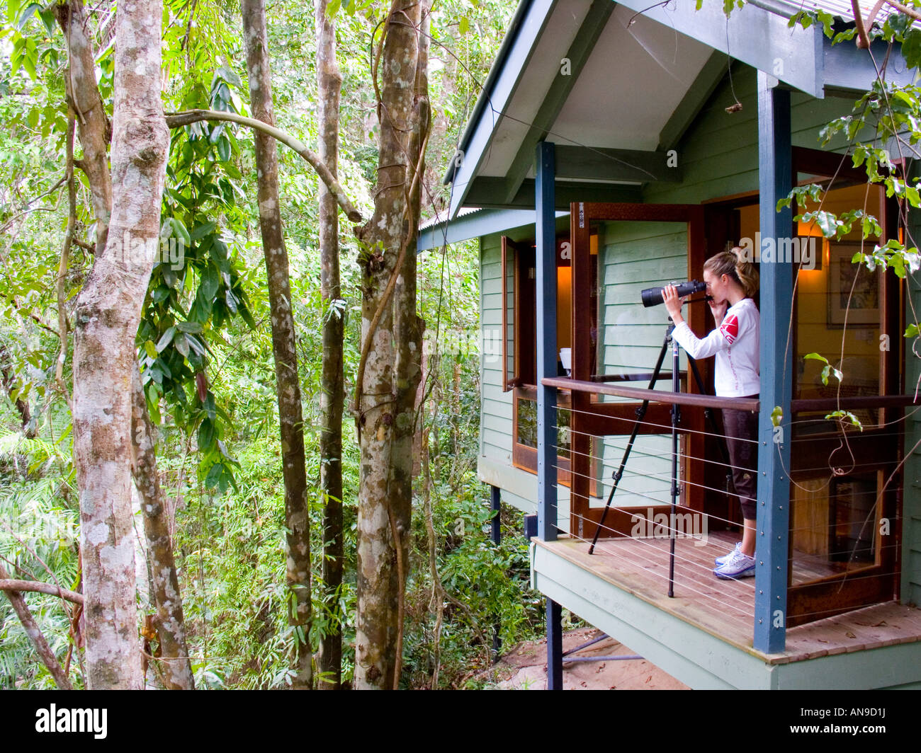 Woman birdwatching in Daintree Rainforest, Queensland, Australia Stock ...