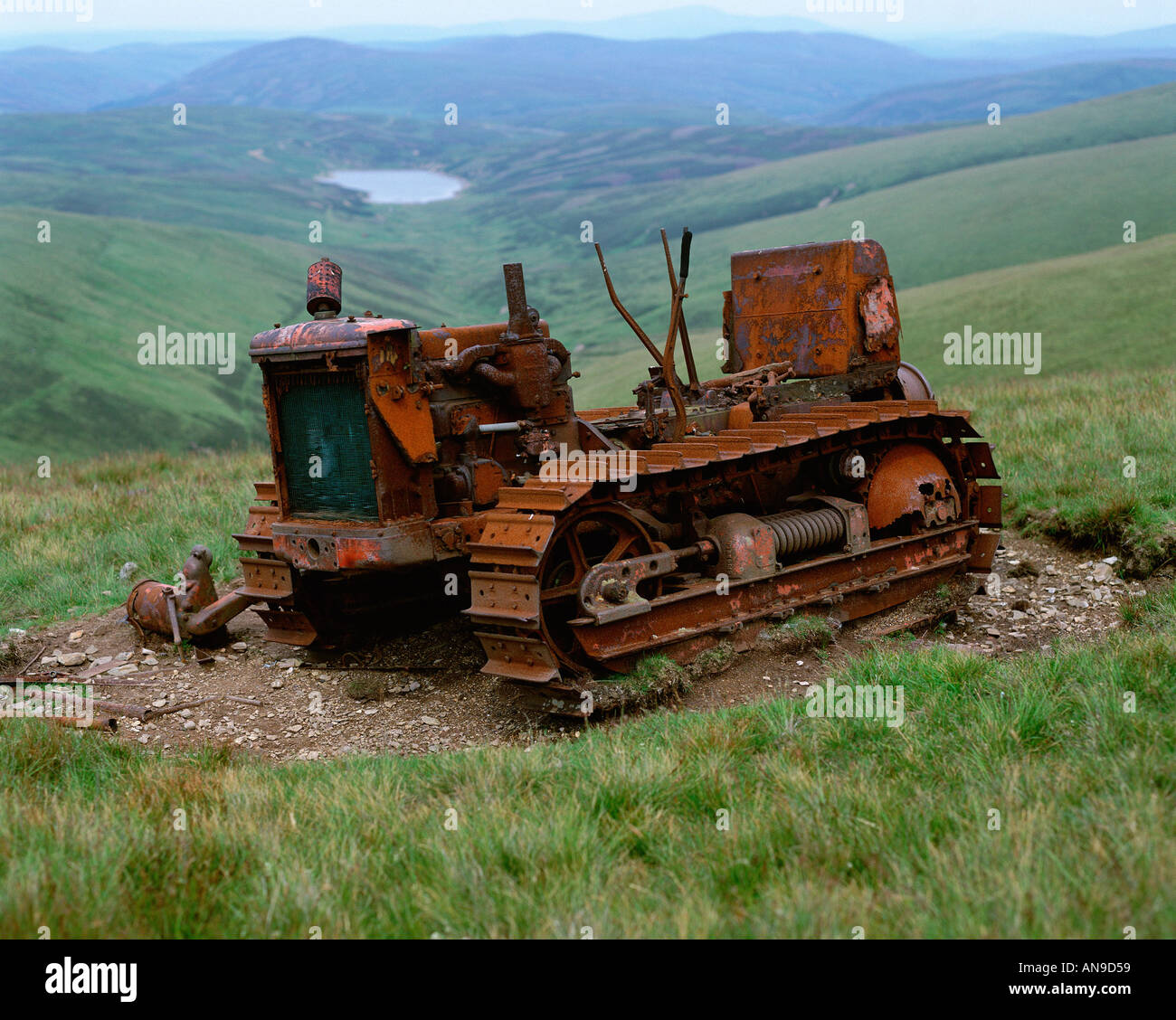 Nature blight hi-res stock photography and images - Alamy