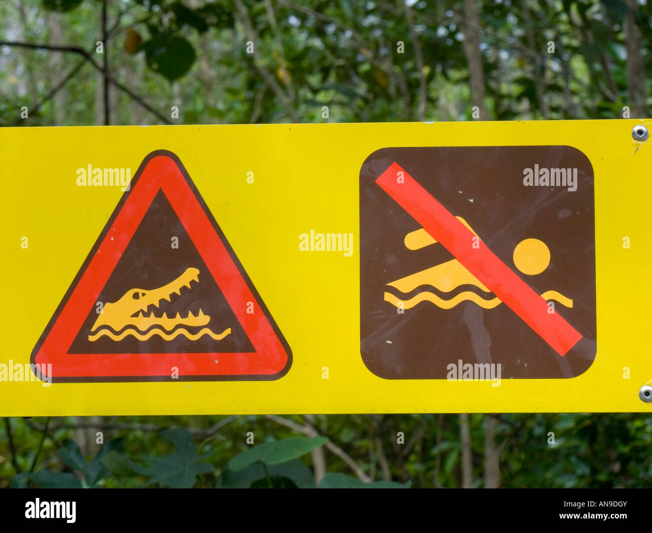 Crocodile warning sign, Queensland, Australia Stock Photo - Alamy