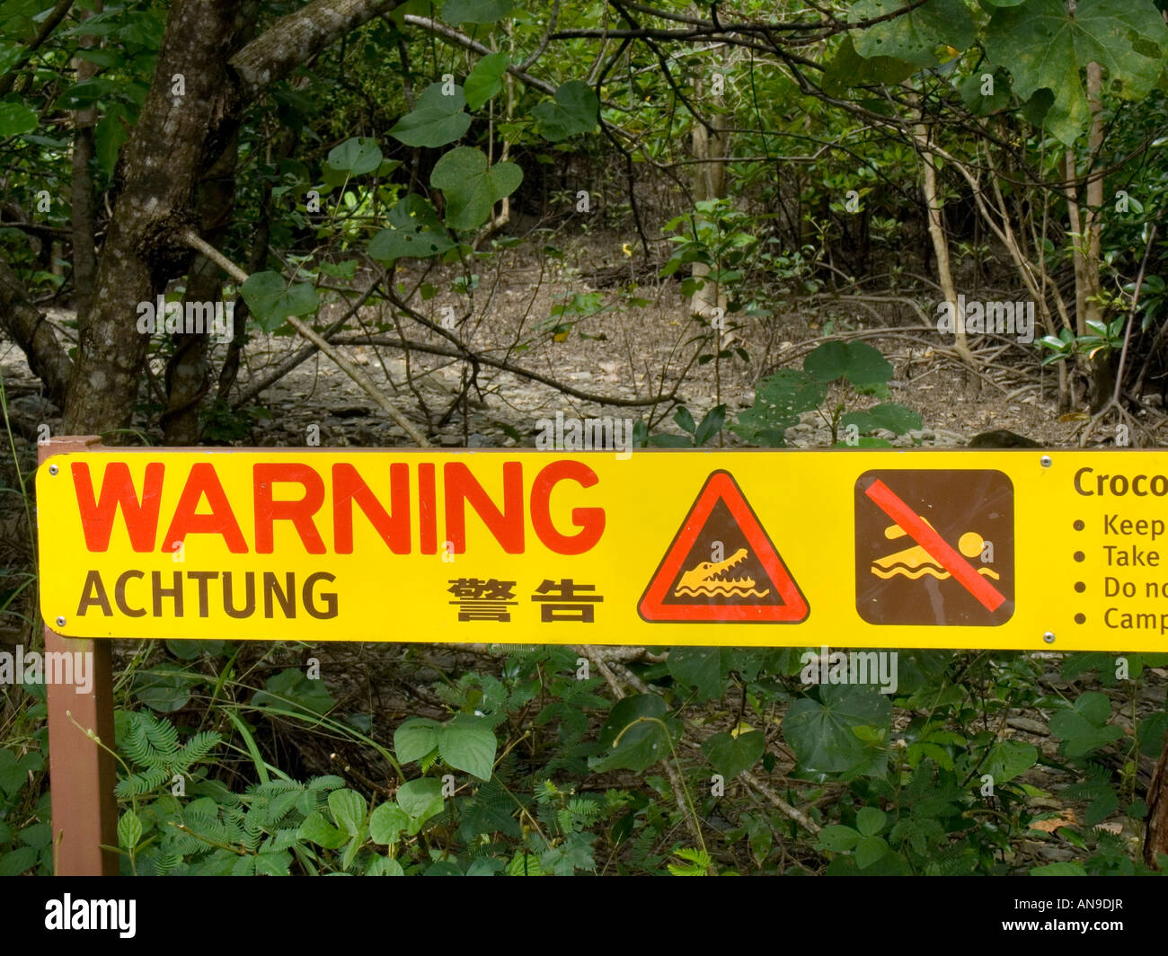 Crocodile warning sign, Queensland, Australia Stock Photo - Alamy